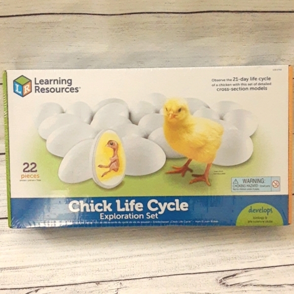 Learning Resources | Toys | Learning Resources Chick Life Cycle ...